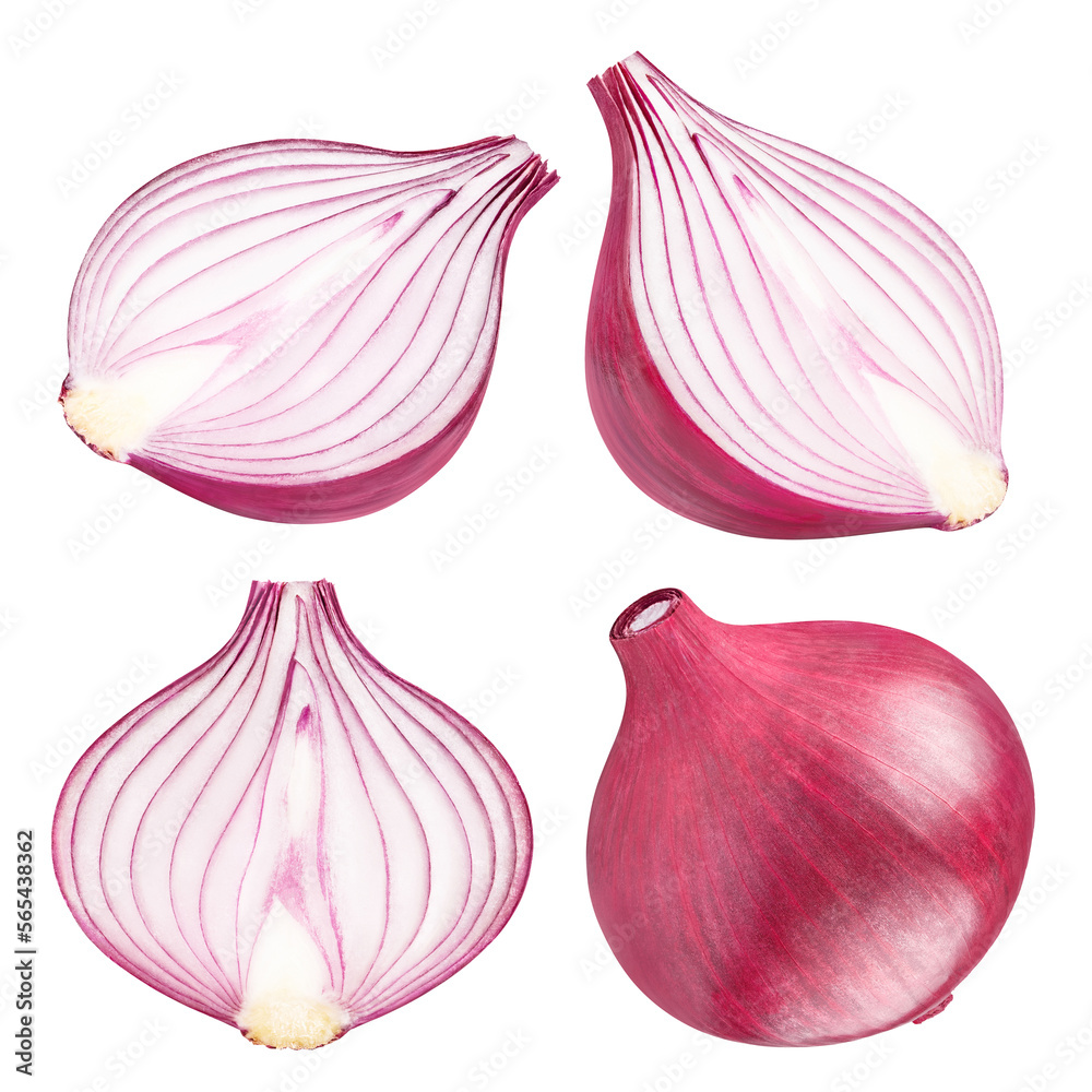 Collection of onions cut out Stock Photo | Adobe Stock