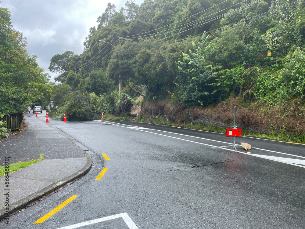View down a road shows a land slip with trees and mud blocking a road ...