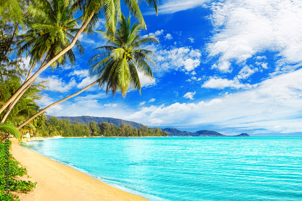 Beautiful tropical island sea beach landscape, turquoise ocean water ...