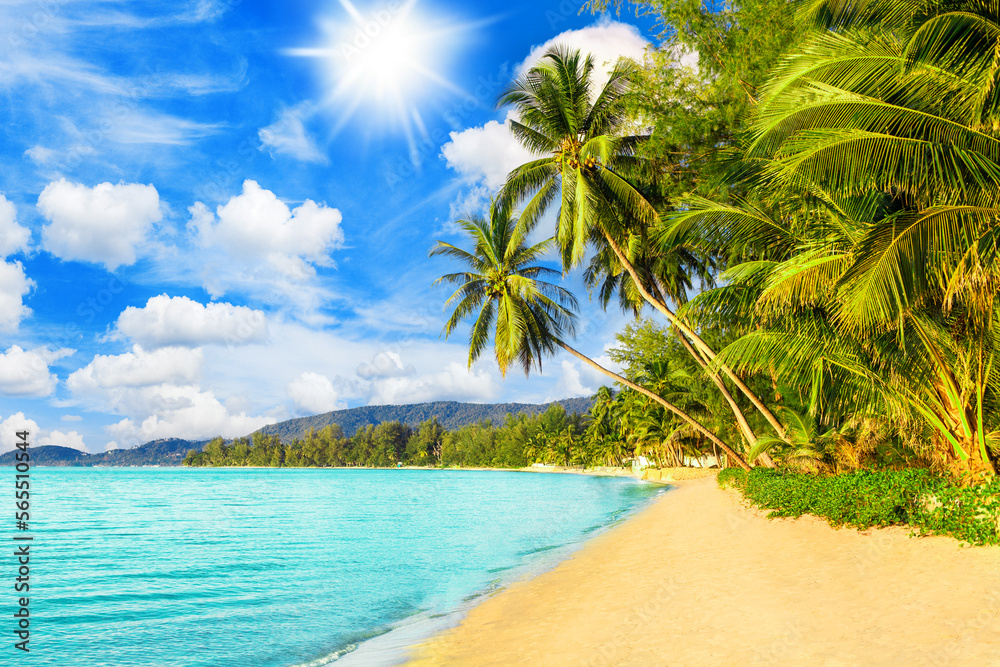 Tropical Beach Scenery
