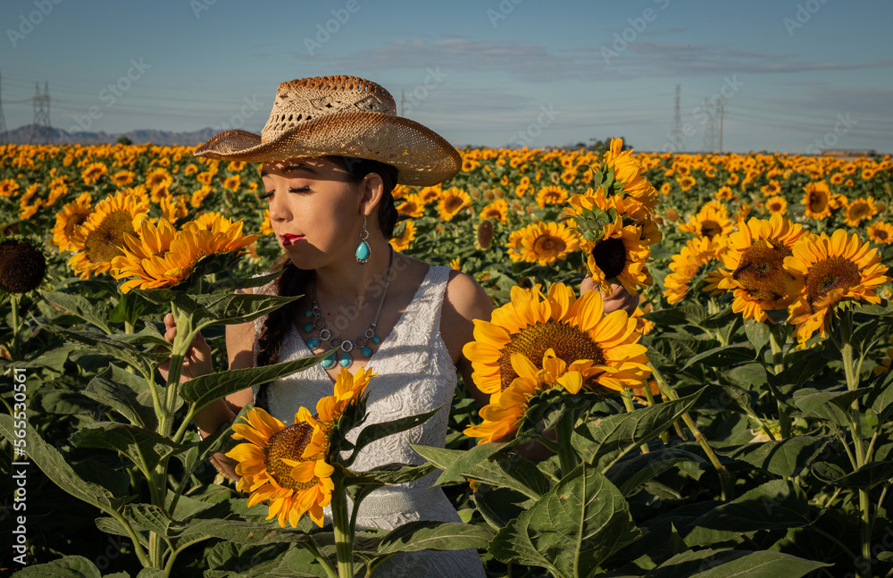 sunflower sunflowers field arizona nature mountain mountains ...
