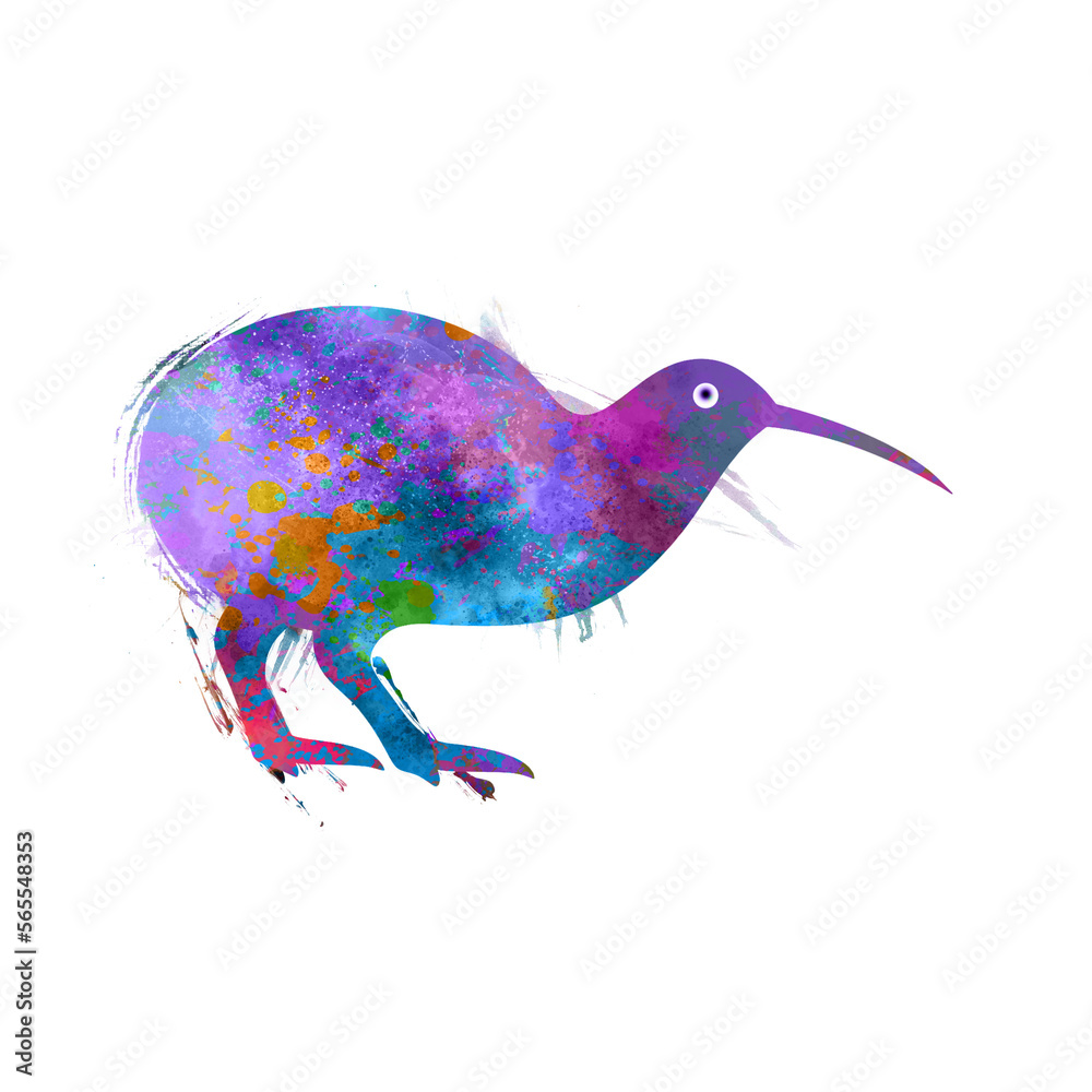 Watercolor Kiwi Bird drawing, silhouette of a Kiwi Bird, Watercolor ...