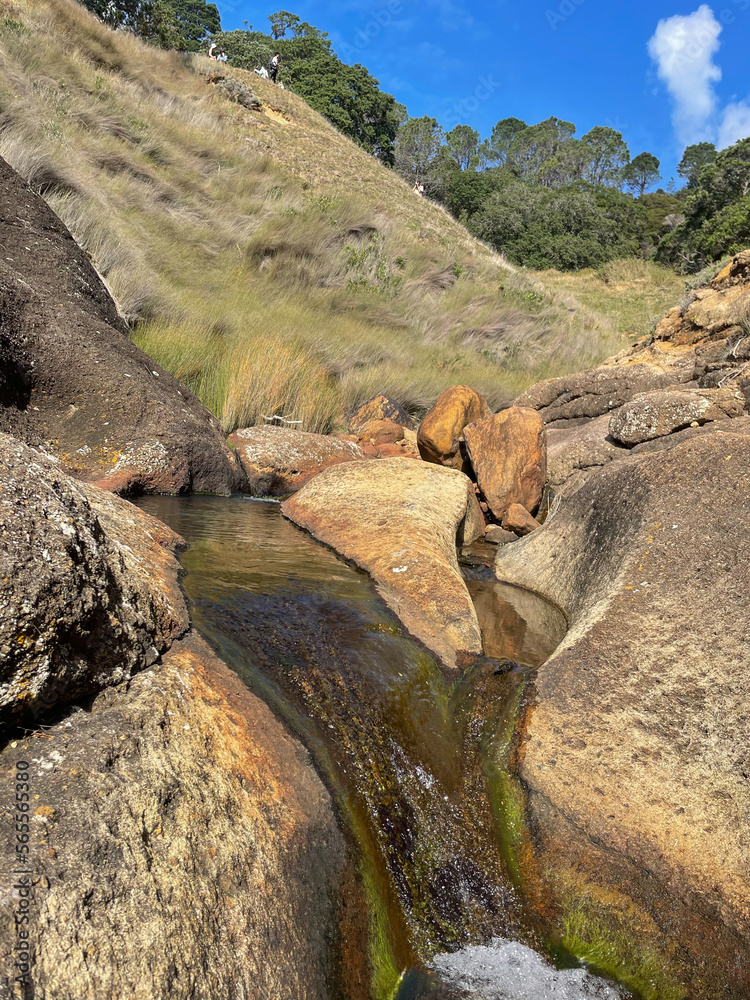 River flows among rocks with bush on background, Waihi beach to Orokawa ...