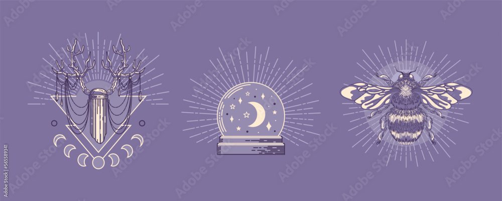 Magic crystal ball, orbuculum, fortune-telling object. Deer antlers ...