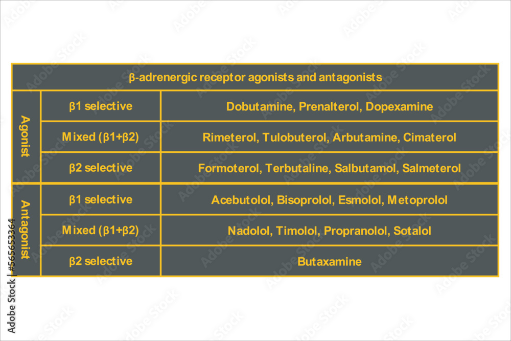 Table showing classification of β adrenergic receptor agonists and ...