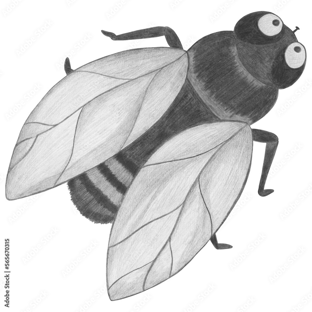 Fly Clipart Black And White