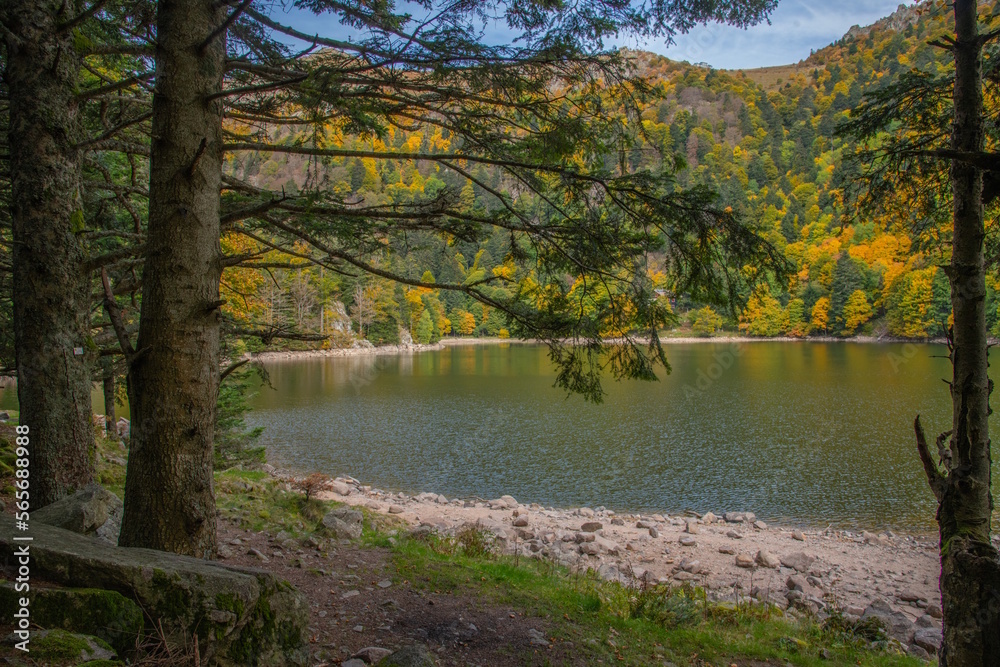Le lac du Schiessrothried dans le Massif des Vosges - Vallée de Munster ...