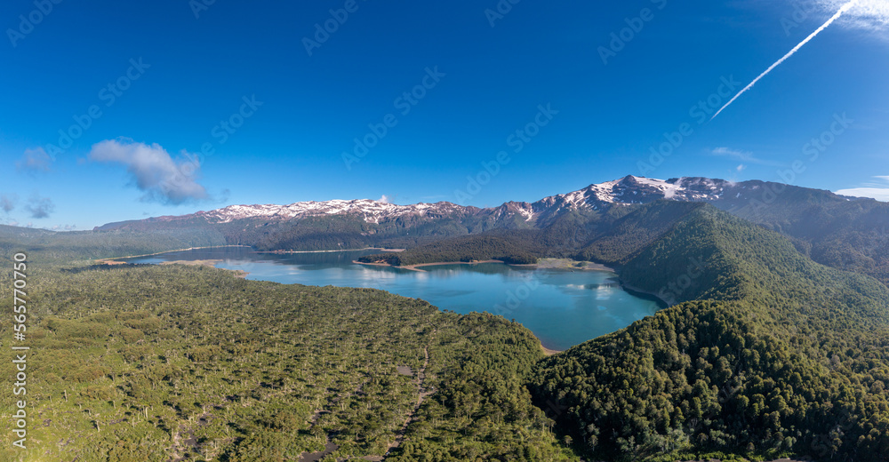 Lago Conguillio and temperate rainforest, Araucanía, Chile Stock Photo ...