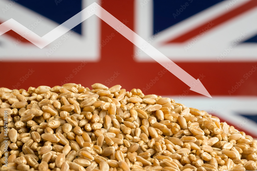 Decline in wheat grain production in the UK. Food crisis, food default ...