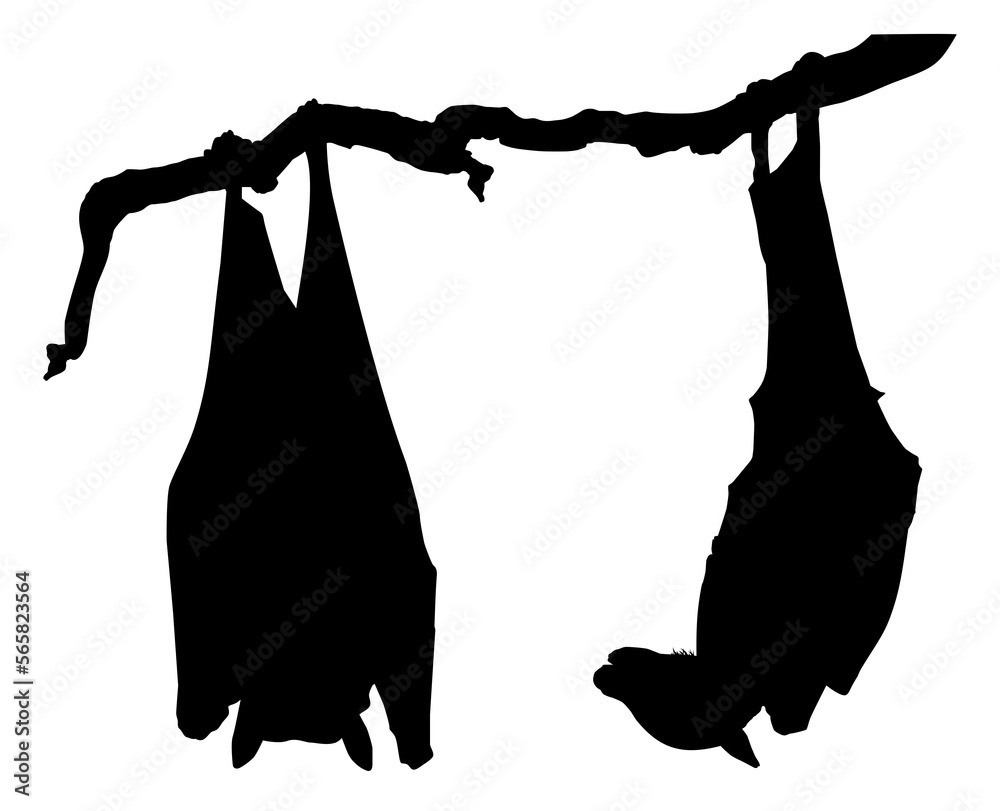 Sleeping Bat on the Branch Tree Silhouette for Halloween Poster, Art ...