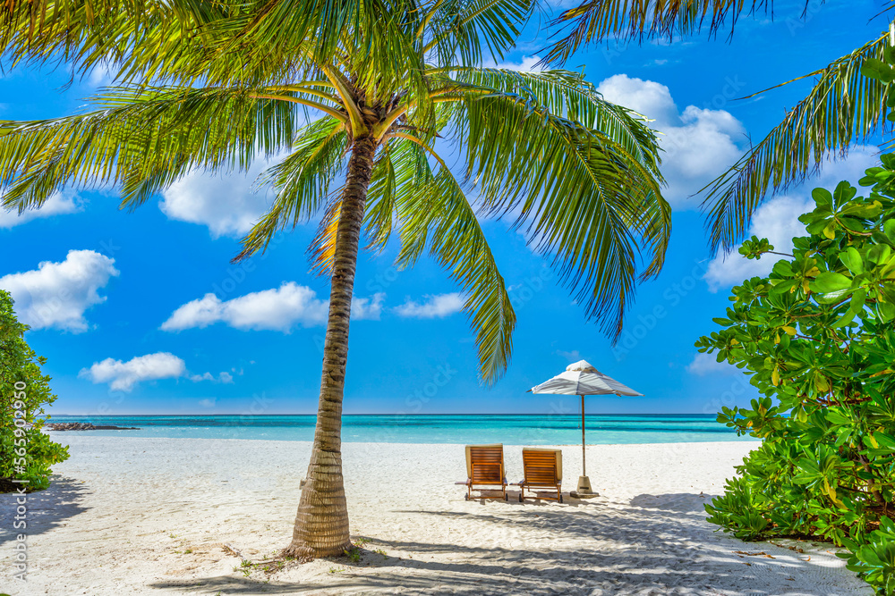 Amazing beach. Couple chairs on sandy beach sea. Luxury summer holiday ...