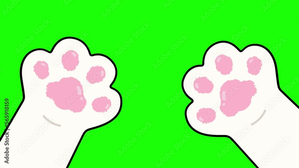 cute animated footage of cat paws, with green screen background. Stock ...