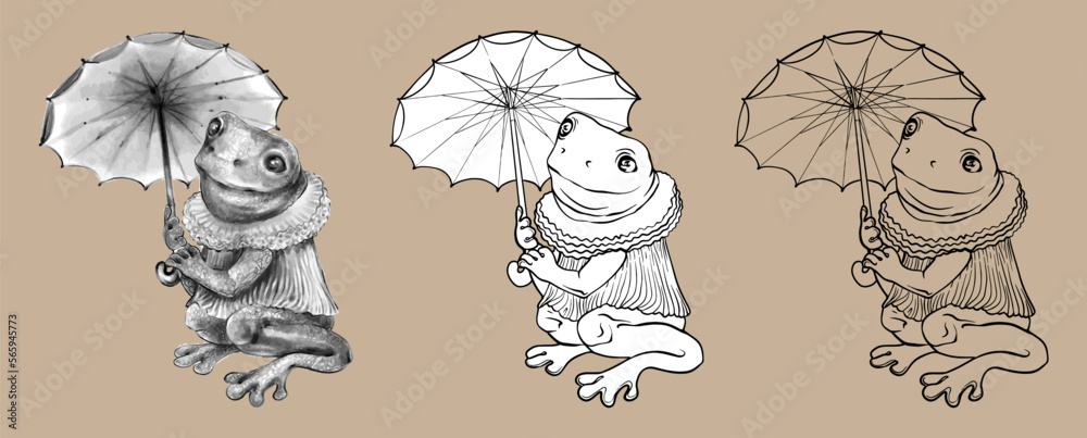 Cute cartoon frog, vector black and white hand-drawn drawing. For ...