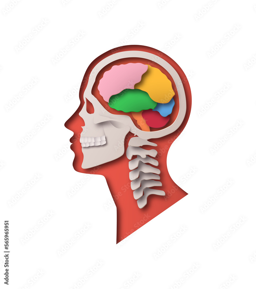 Colorful paper cut man head illustration on isolated background. Human ...