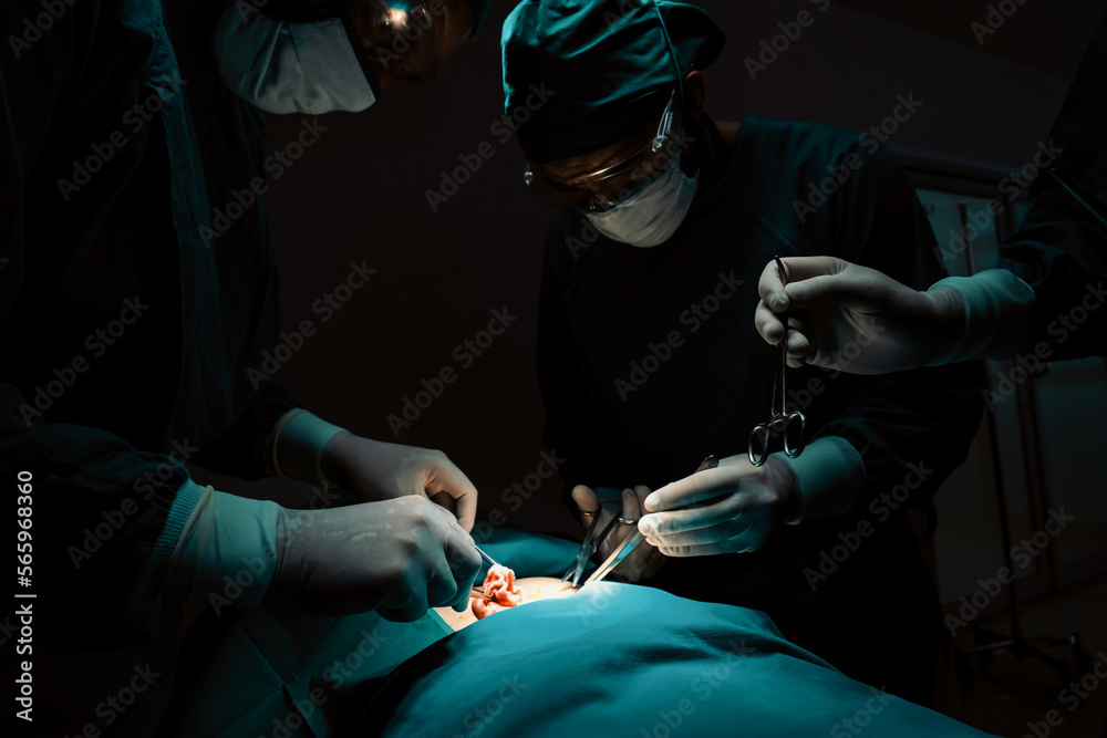 Surgical team performing surgery to patient in sterile operating room ...