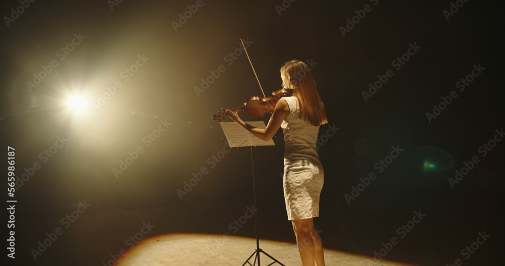 Professional female violinist performing a solo concert on stage ...