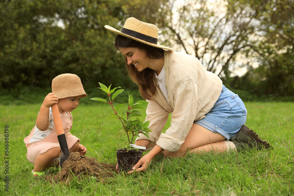 Mother and her baby daughter planting tree together in garden Stock ...