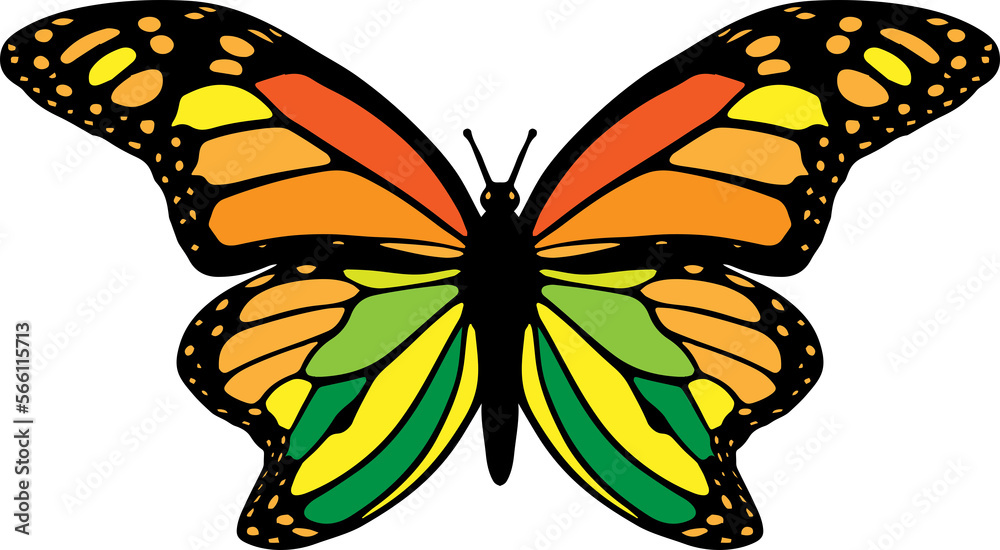 butterfly png graphic clipart design Stock Illustration | Adobe Stock