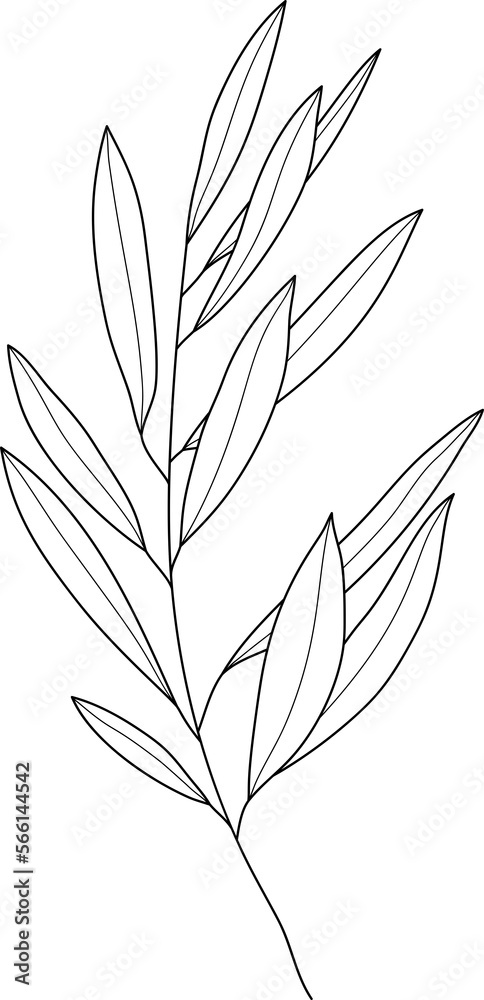 Hand drawn leaf branch line art Stock Illustration | Adobe Stock