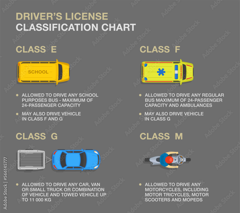 Car driving tips and rules. Types of driving licences and descriptions ...