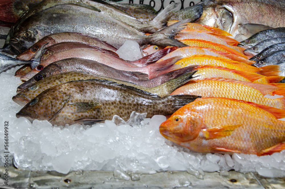 Fresh fish on counter of a seafood restaurant. Different types of ...