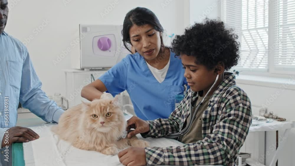 Female vet doctor teaching little boy to use stethoscope and listening ...