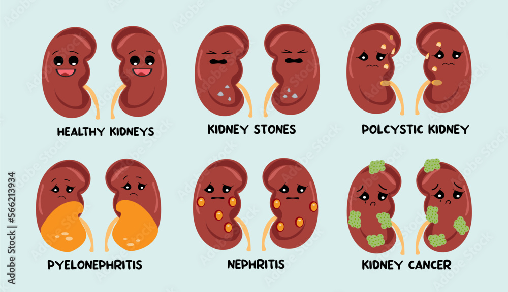 Kidney Disease Brochure