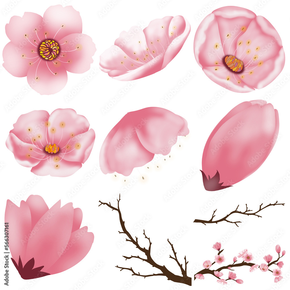 Light pink cherry blossom or sakura clip art set which is inspired by ...