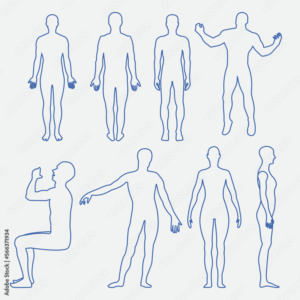 Human figures in line - human posture, body structure, health diagrams ...