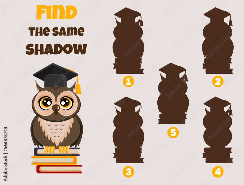 Find the right suitable shadow for the owl from 5 different ones ...