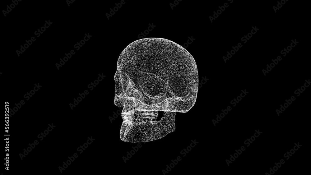 3D human skull rotates on black background. Object dissolved white ...