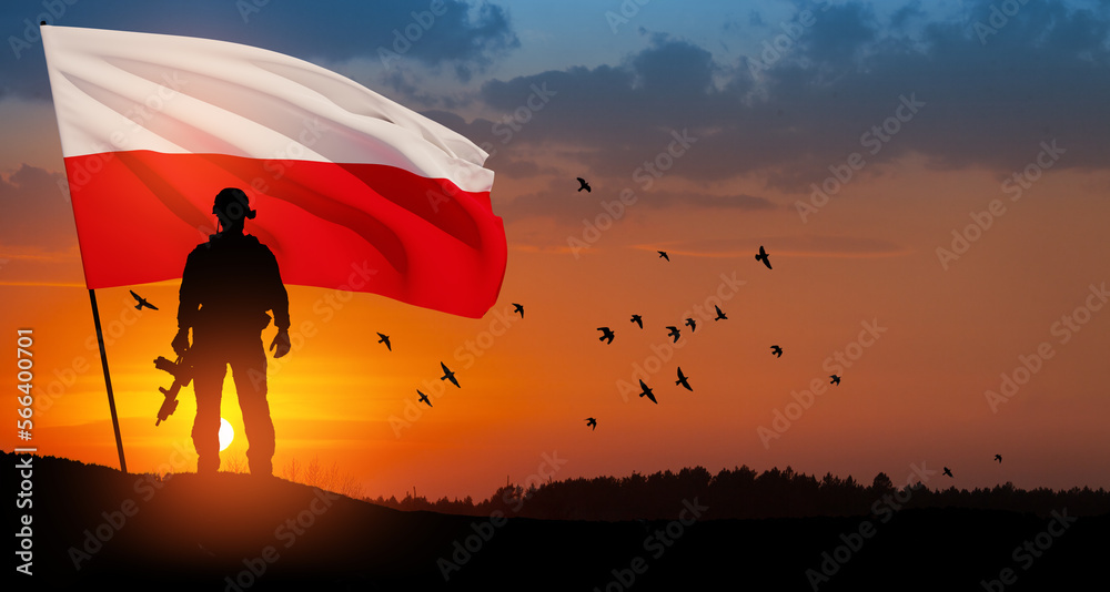 Silhouette of soldier with national flag on background of sunset ...
