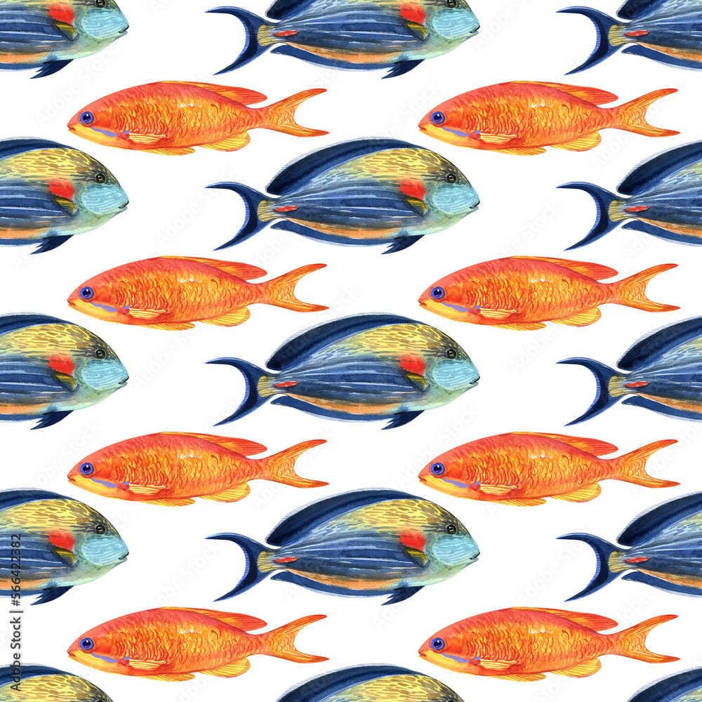 fish pattern watercolor. watercolor cute fish pattern. Watercolor cute ...