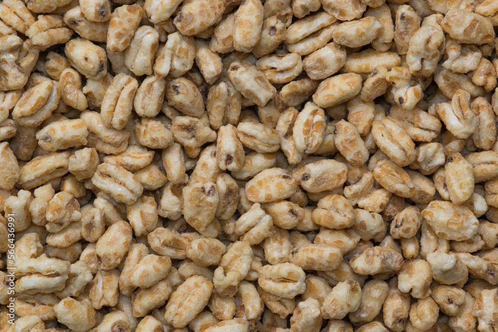 Dry honey puffed wheat cereal pieces scattered loosely directly above ...