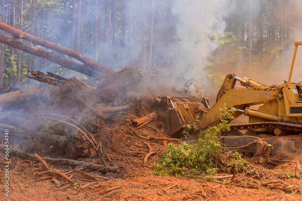 In construction site lot of uprooted forest is being burned for ...