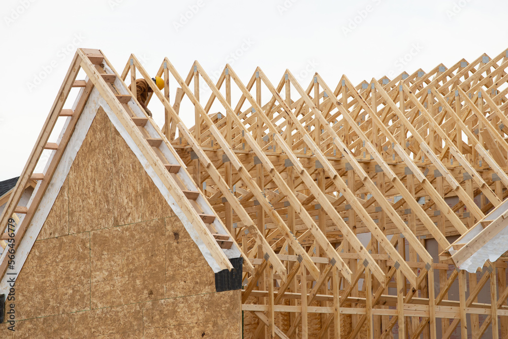 installation of rafters of a plywood house building wall studs wooden ...