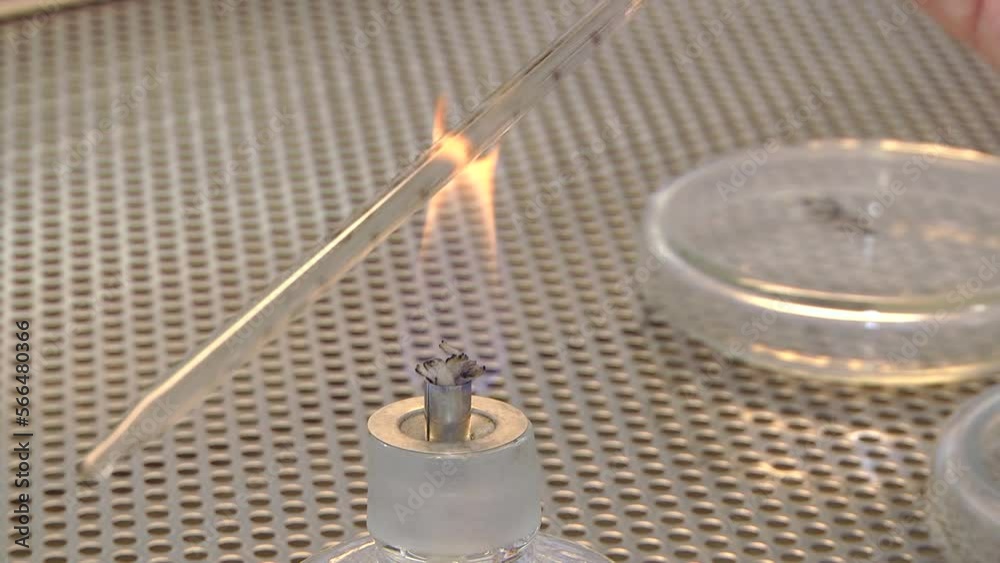 Scientists are cleaning pipette is used to experiment with the same ...