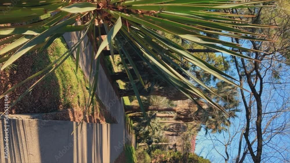 SOCHI, RUSSIA - January 2023: The territory of the park in the city of ...