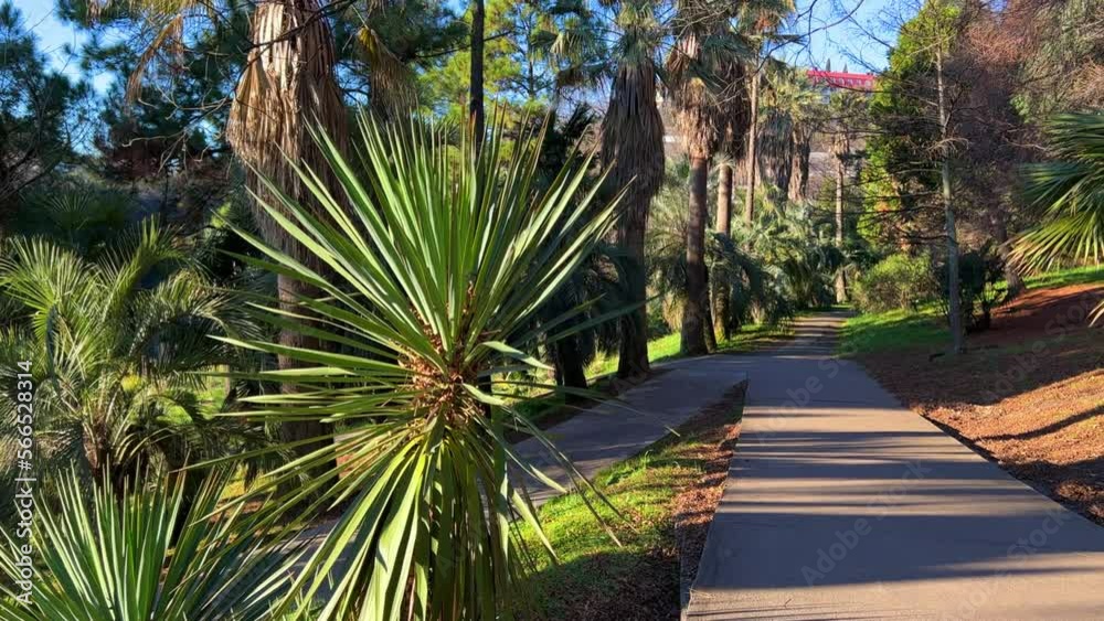 SOCHI, RUSSIA - January 2023: The territory of the park in the city of ...