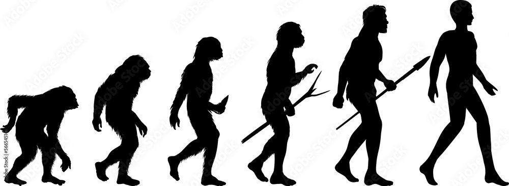 man evolution. silhouette progress growth development png Stock ...