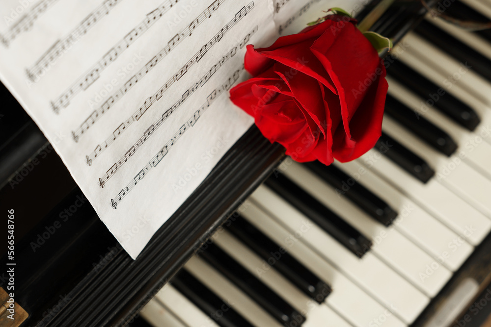 Beautiful rose and musical notes on piano, above view Stock Photo ...