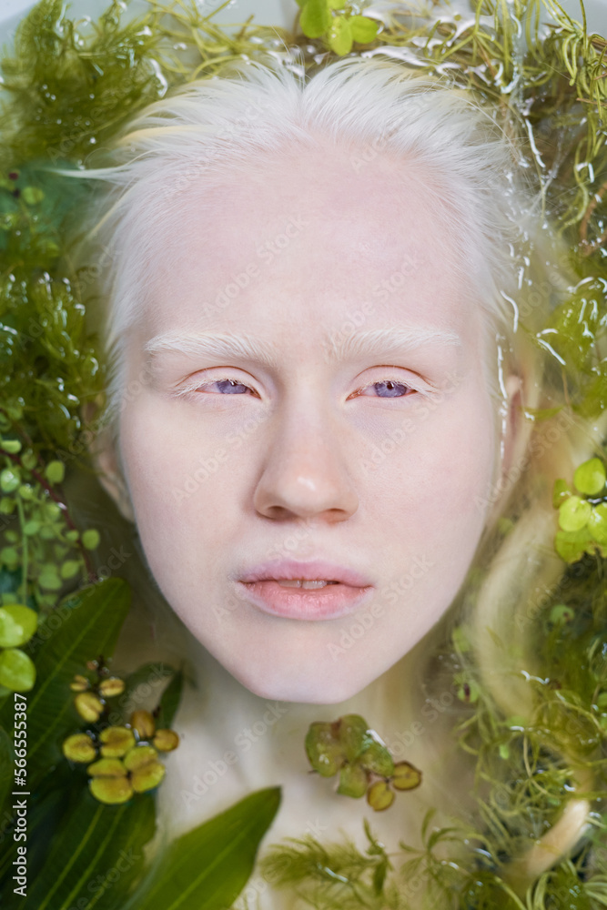 Above view of face of young serene albino woman lying in pure water ... Above view of face of young serene albino woman lying in pure water ...