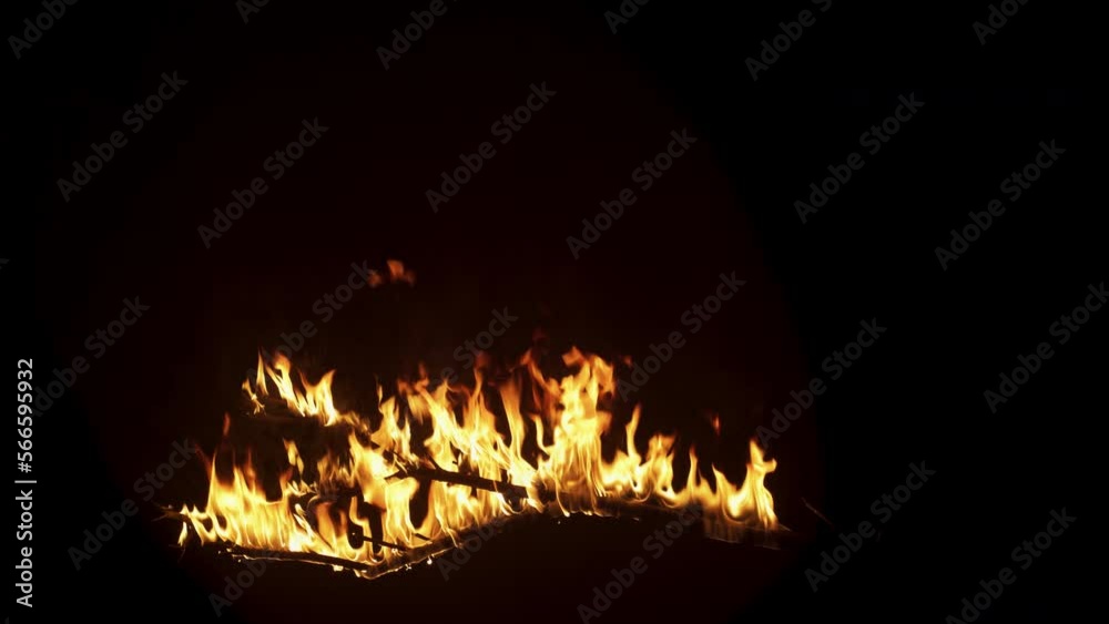 Slow Motion Shot: Wooden Tree Branch Burning in Intense Fire on Black ...