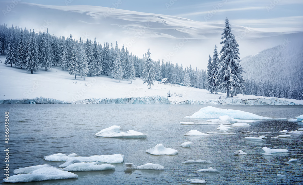 Beautiful winter nature scenery. Winter landscape with snow capped pine ...