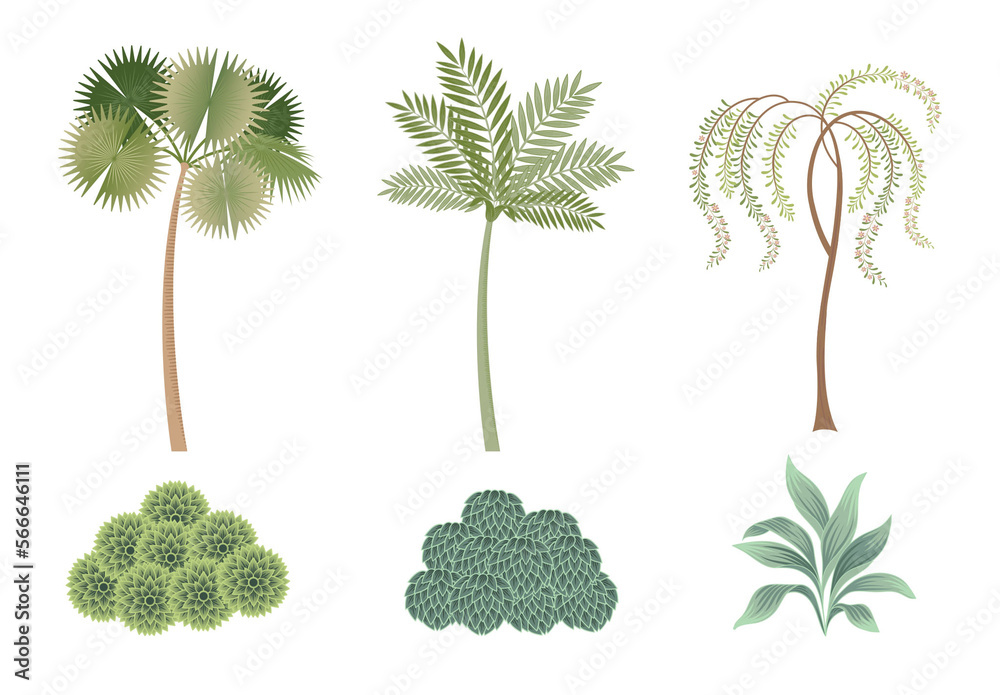 Tropical Trees Indian Botanical Design Elements Stock Template | Adobe ...