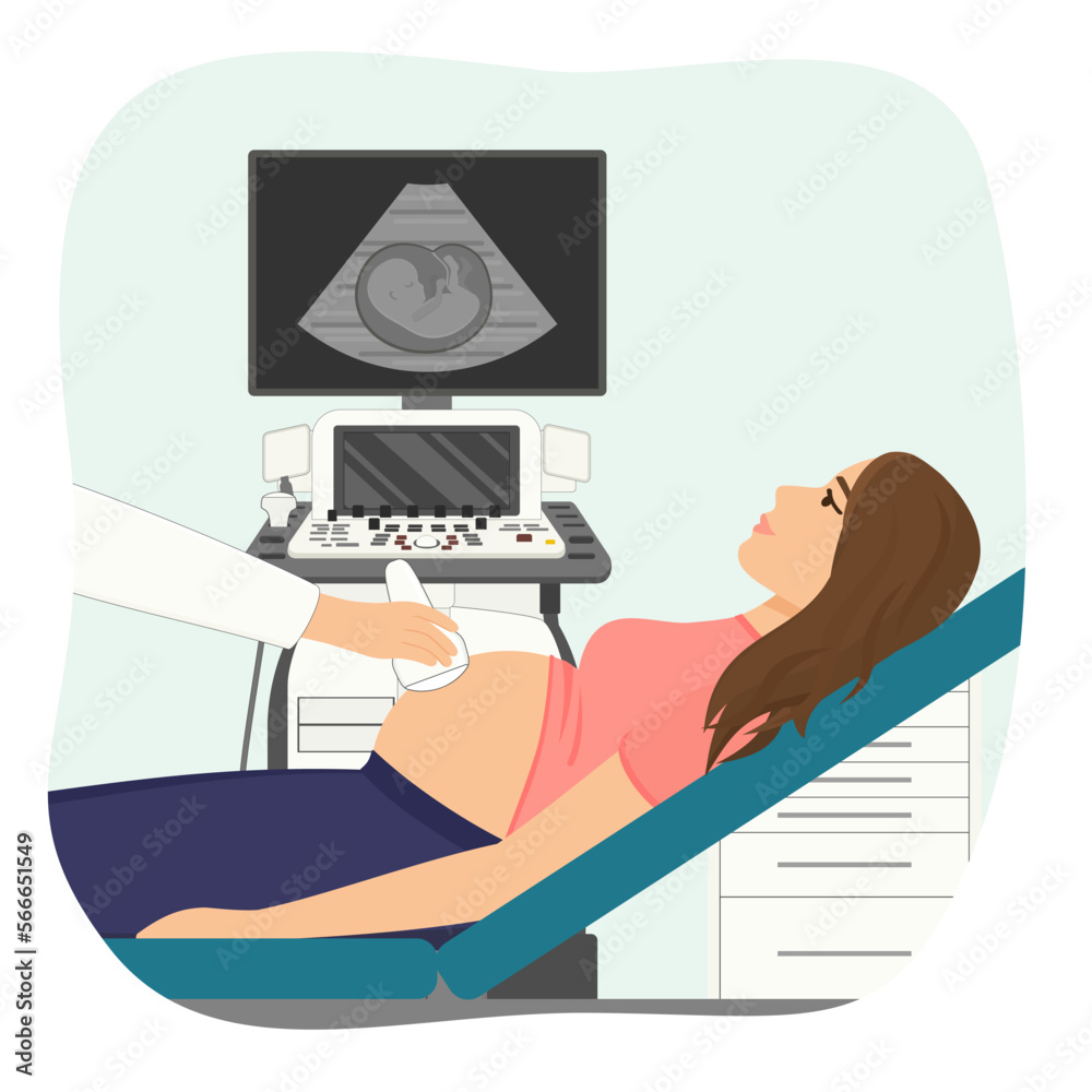 Medicine concept ultrasound pregnant woman scan and diagnostics. Doctor scanning pregnancy with ...