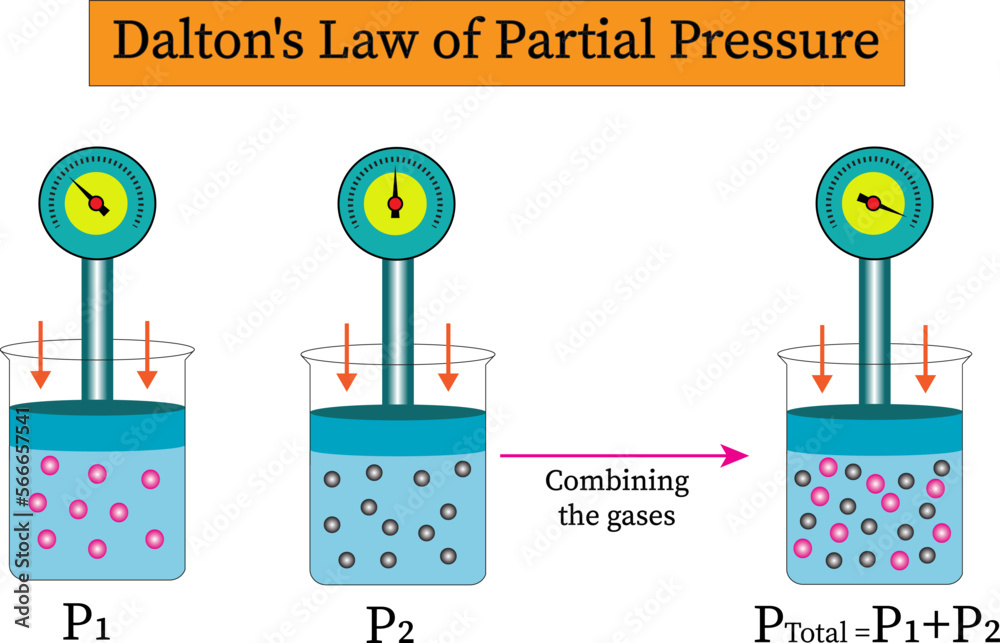 Dalton's Law of Partial Pressure vector image Stock Vector | Adobe Stock