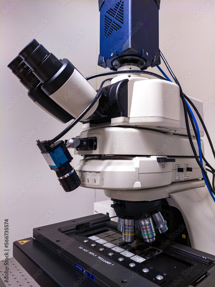 Upright microscope equipped with multiple cameras (brightfield and ...