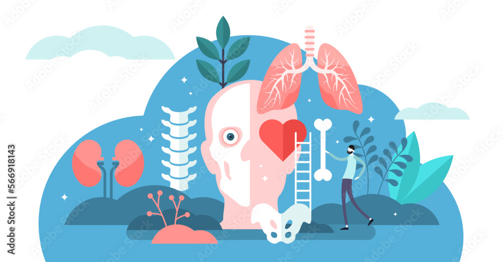 Anatomy illustration, transparent background. Flat tiny body parts ...