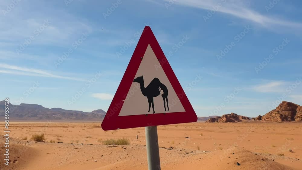 Triangle road sign with camel in the vast remoteness of desert ...